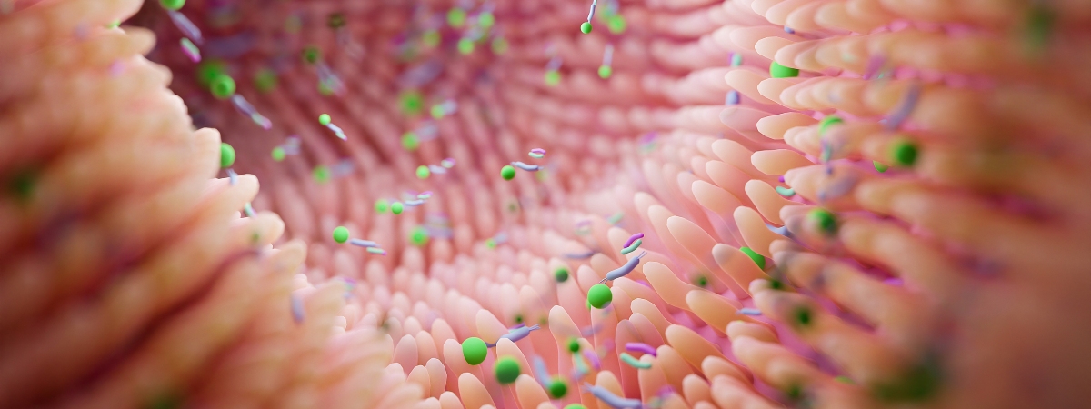 Permeabilidad intestinal: Síntomas y tratamiento